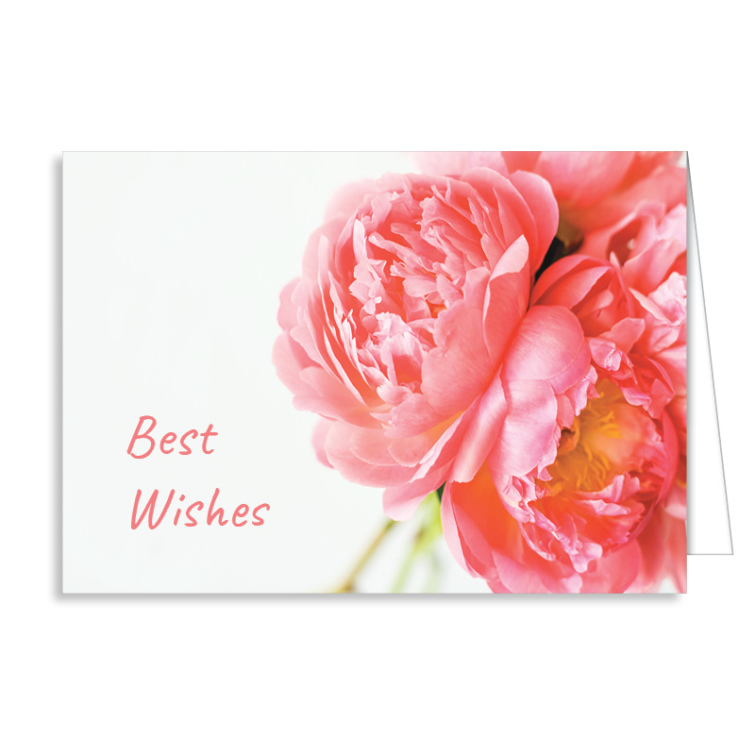 Best Wishes Greeting Card - Greeting Cards - Beatričės Gėlių Namai